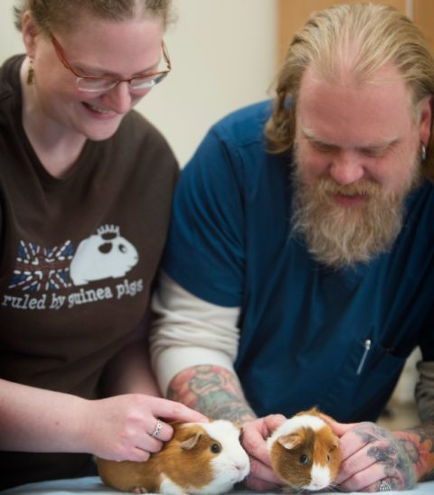 North Seattle Veterinary Clinic Photo Gallery