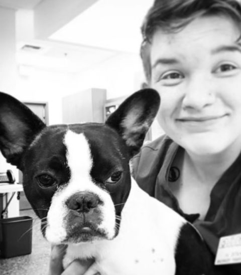 North Seattle Veterinary Clinic Photo Gallery