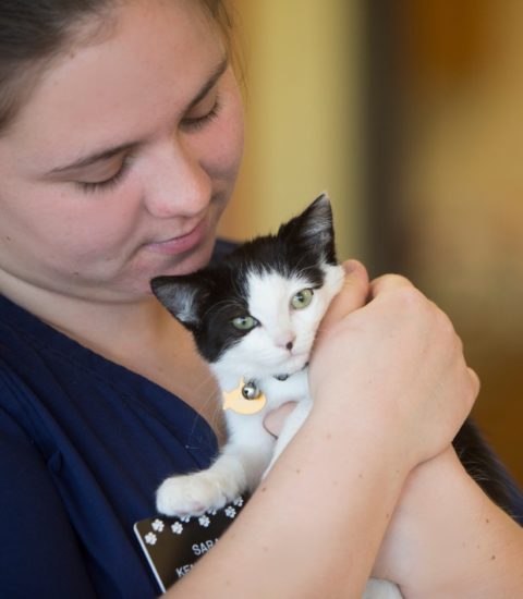 North Seattle Veterinary Clinic Photo Gallery