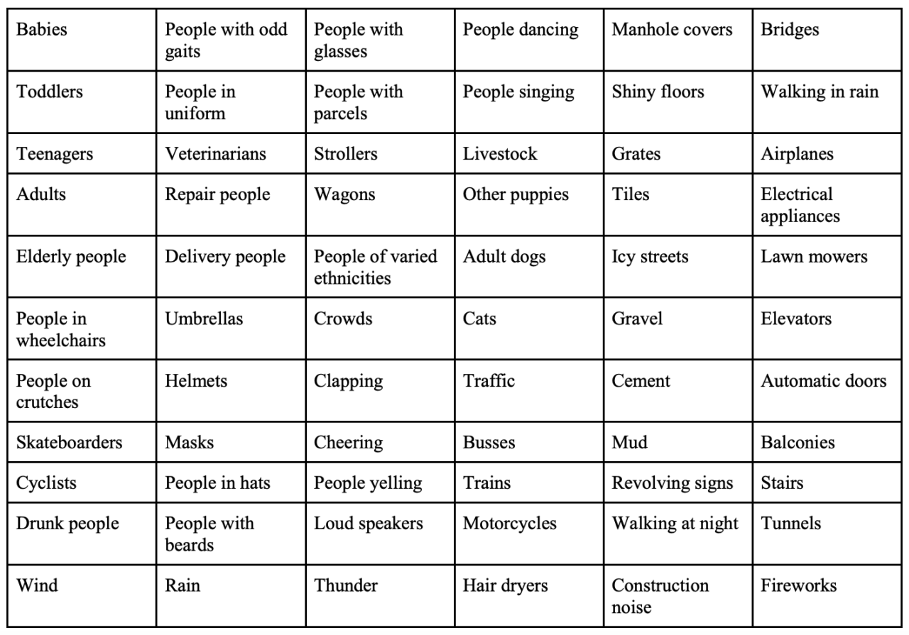 ASPCA Puppy Socialization Recommendations | North Seattle Veterinary Clinic